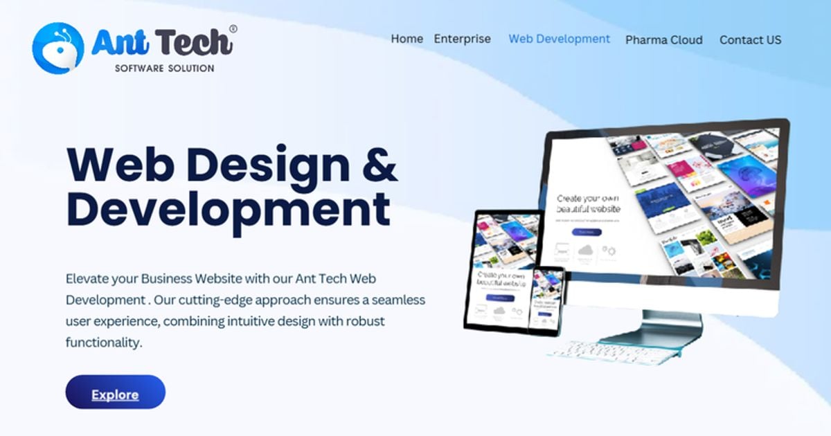 Ant Web Development